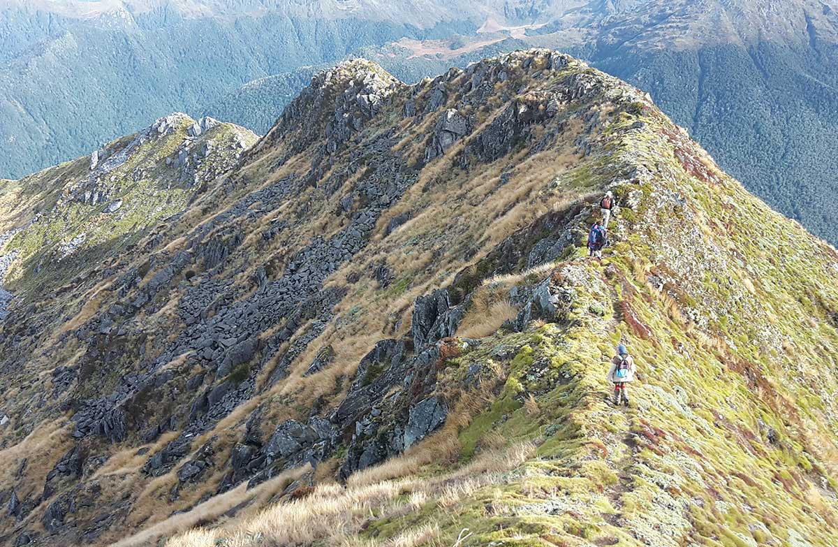 Klondyke Spur Track: Victoria Forest Park