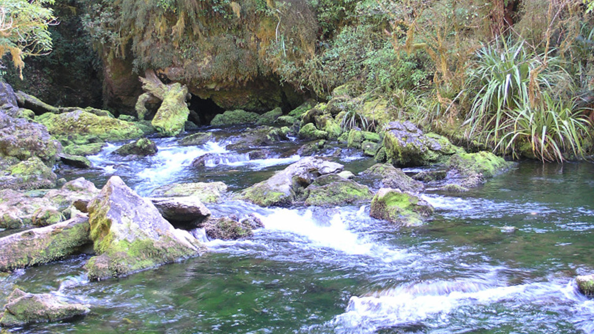 Pearse Valley Route to Pearse River Resurgence