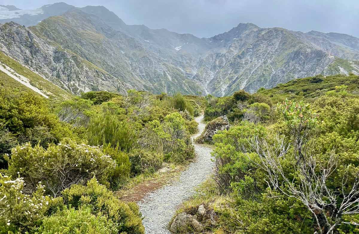 Red Tarns Track: Walking and tramping in Aoraki/Mount Cook National ...