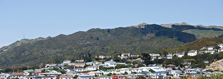 Colonial Knob Walk: Rangituhi/Colonial Knob Scenic Reserve, Kapiti region
