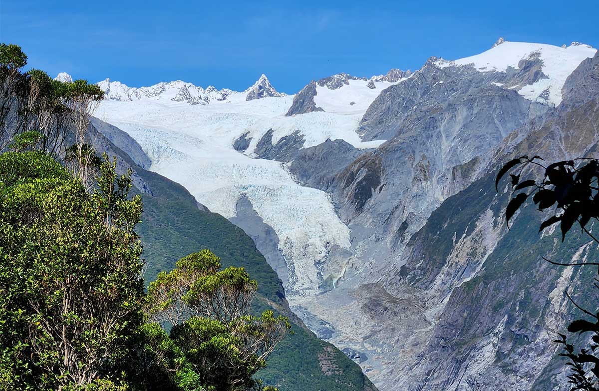 Alex Knob Track: Westland Tai Poutini National Park, West Coast region