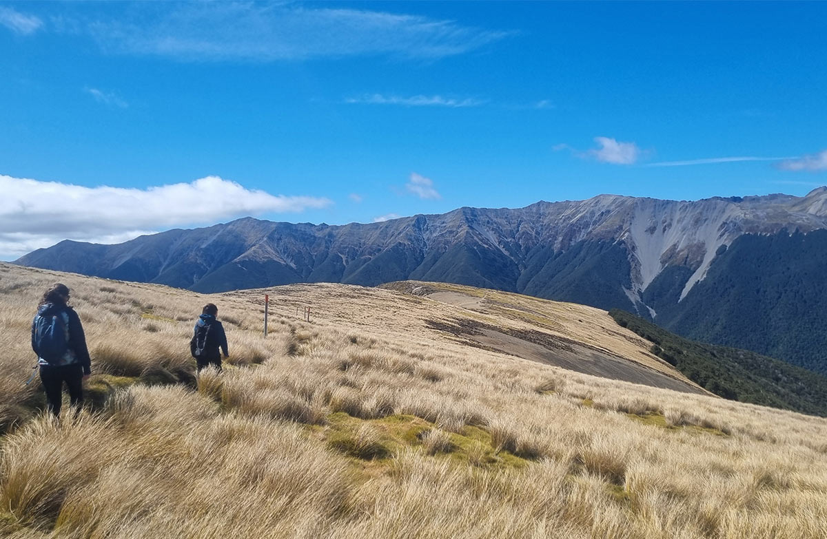 Mount Robert Circuit: Nelson Lakes National Park, Nelson/Tasman