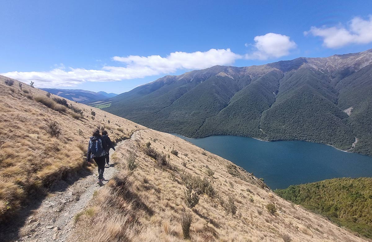 Mount Robert Circuit: Nelson Lakes National Park, Nelson/Tasman