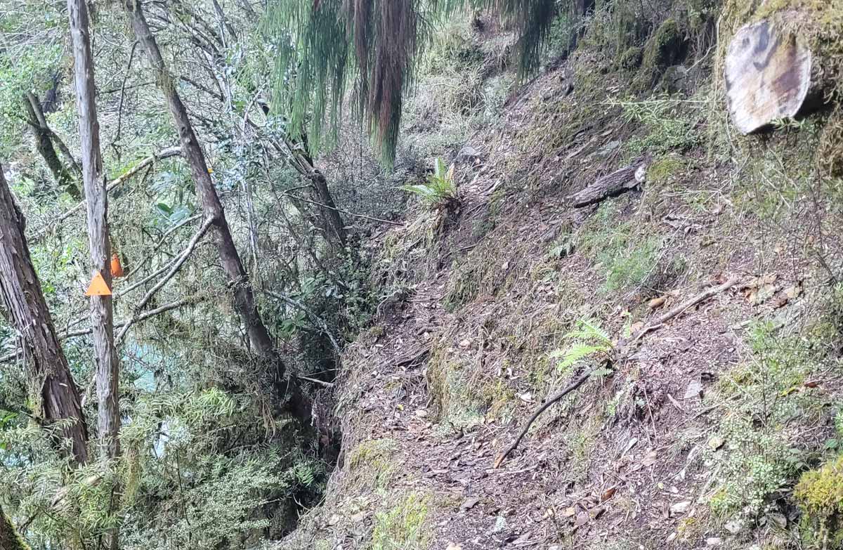 Red Hills Route: Mount Richmond Forest Park