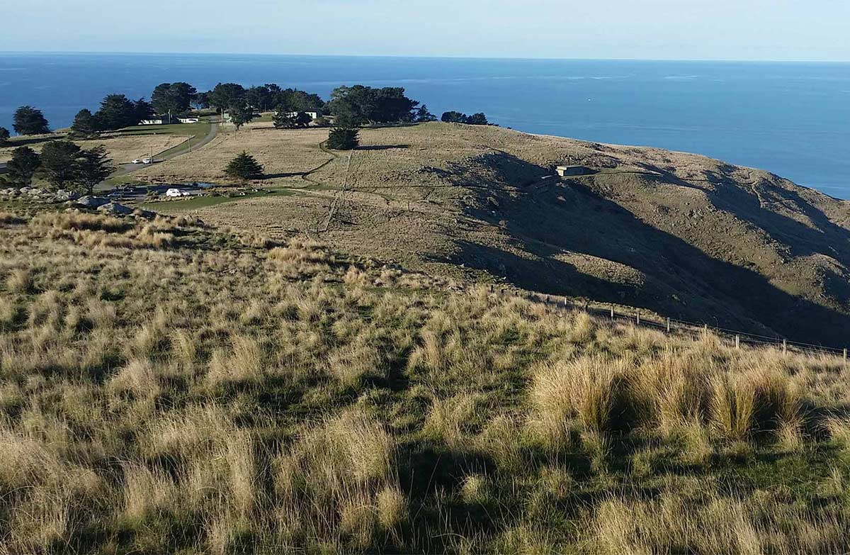 Awaroa/Godley Head Campsite: Godley Head, Canterbury
