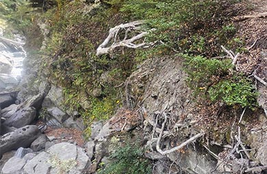 Breast Hill Track: Hāwea Conservation Park, Otago region