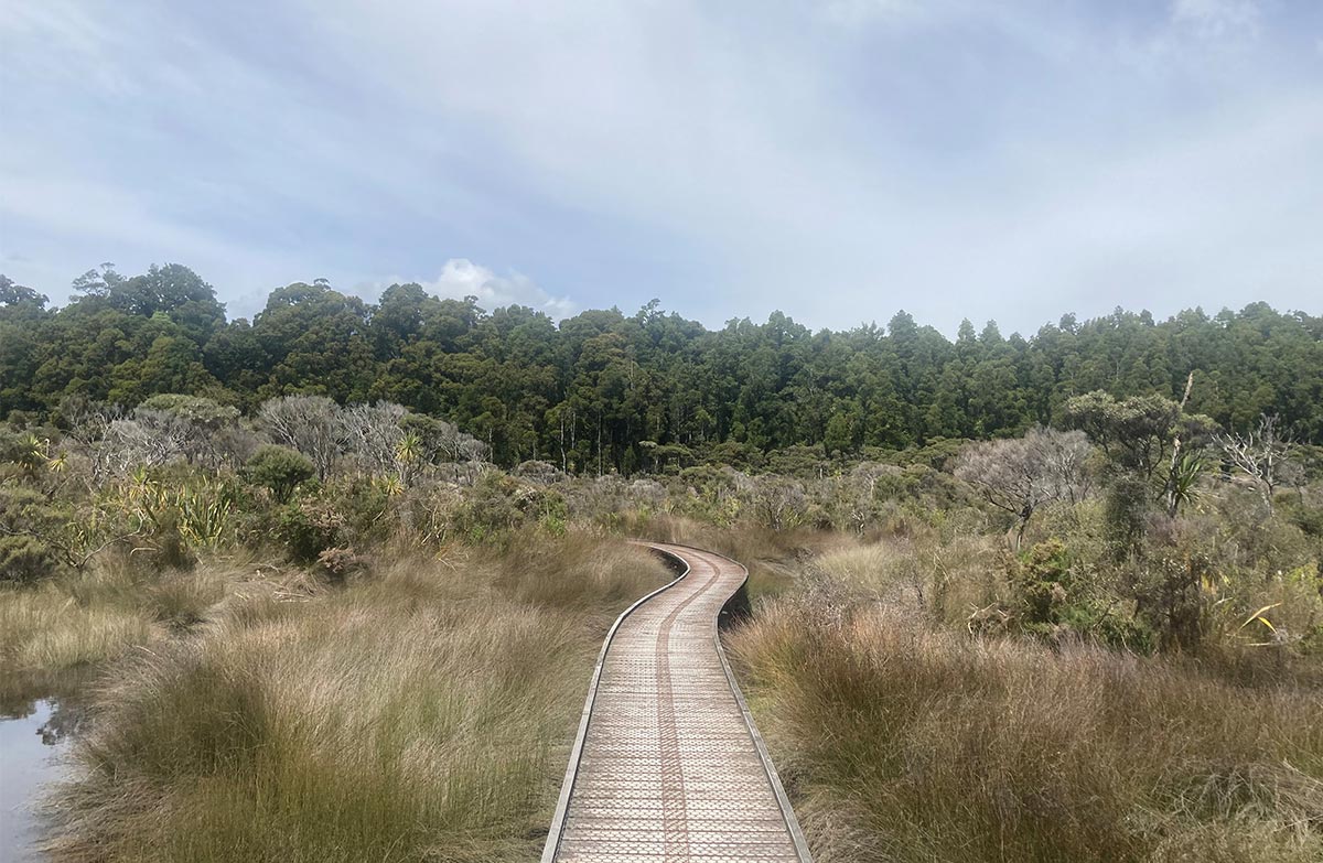 Hapuka Estuary Walk: Haast, Paringa & Moeraki Rivers area, West Coast ...