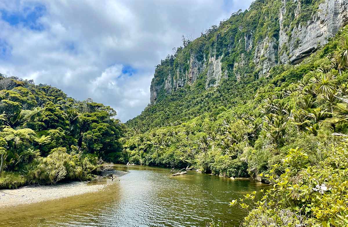 Pororari River tracks: Walking and tramping in Paparoa National Park