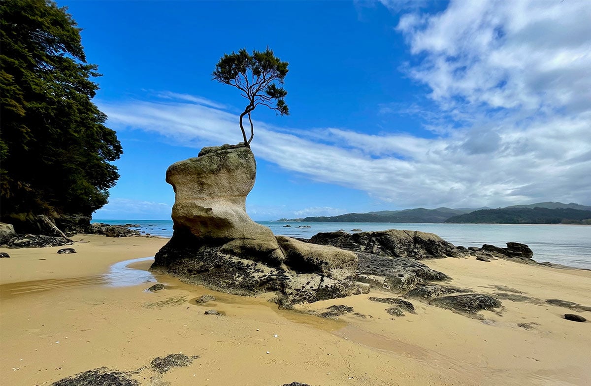 Abel Tasman Coast Track: Abel Tasman National Park, Nelson/Tasman region