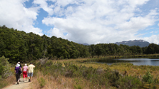Lake Mistletoe Track: Fiordland National Park, Fiordland region