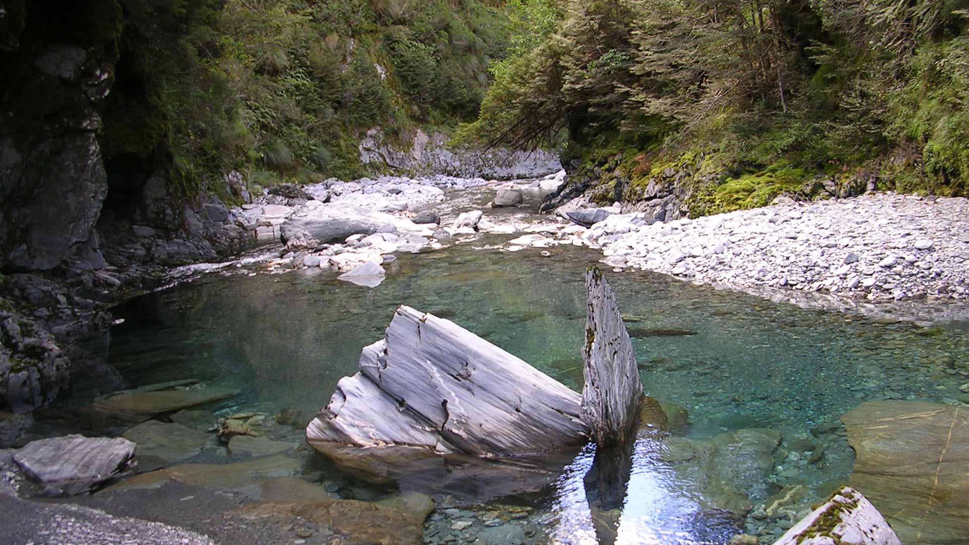 Cameron Valley Track: Mount Aspiring National Park, Otago region