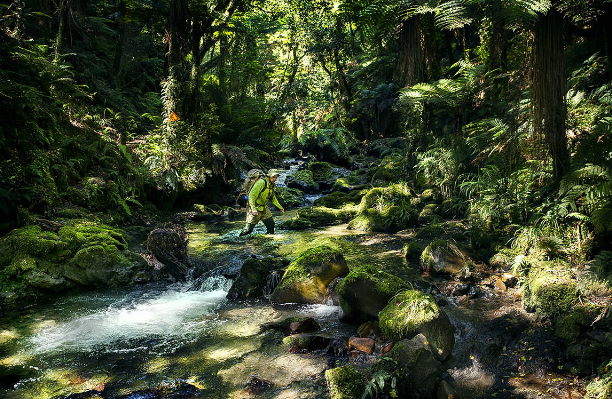 Mangamate Loop Track
