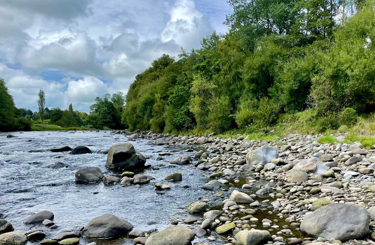 Everett Park Scenic Reserve walk: Walking and tramping in Everett Park ...