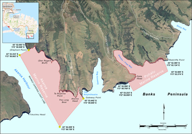 Akaroa Marine Reserve: Places to go in Banks Peninsula