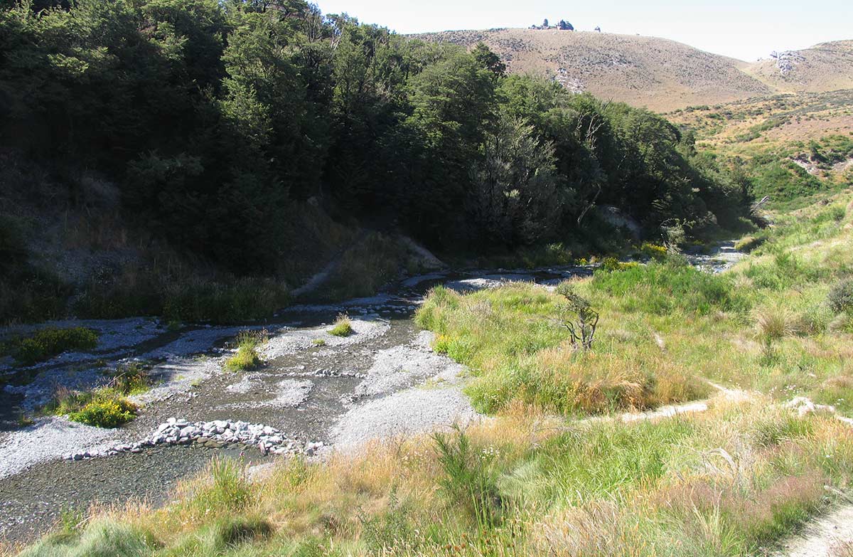 Thomas River Track: Walking and tramping in Craigiburn Forest Park ...
