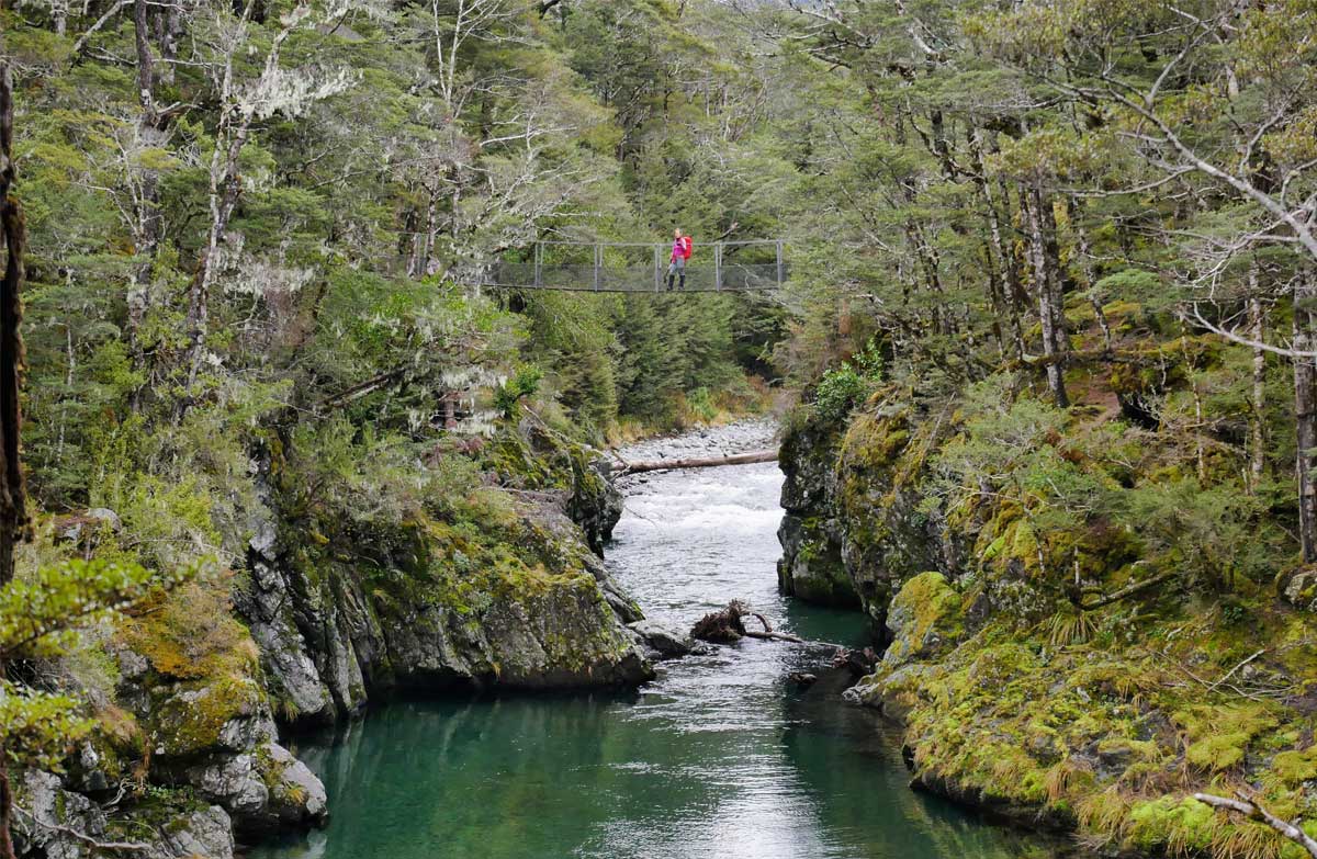 Nina Valley Track: Walking and tramping in Lake Sumner Forest Park ...