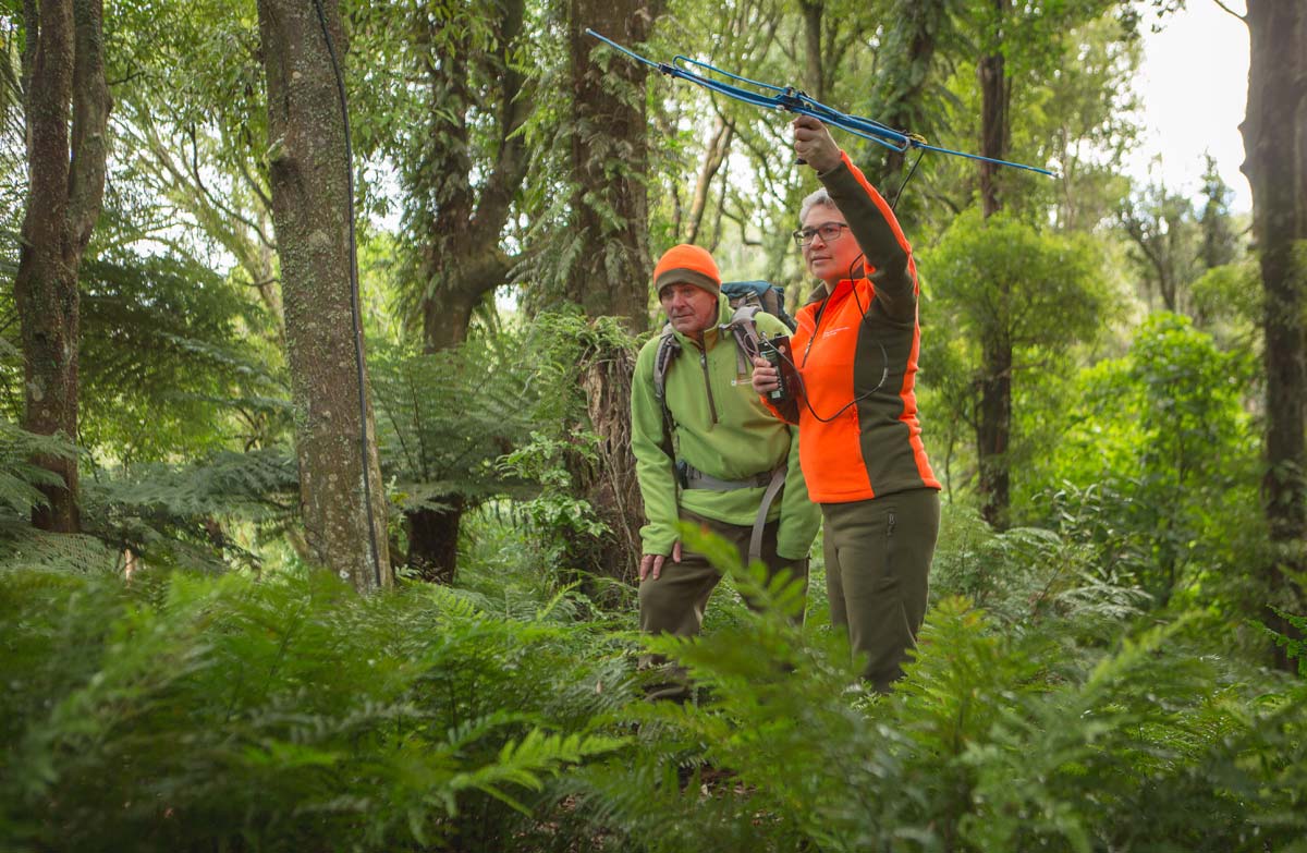 Birds: Modules for biodiversity inventory and monitoring