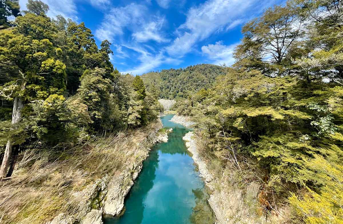Circle Walk and Circle Loop Track: Pelorus Bridge Scenic Reserve ...