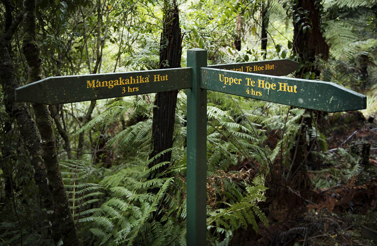 Te Pua-a-Tāne Circuit