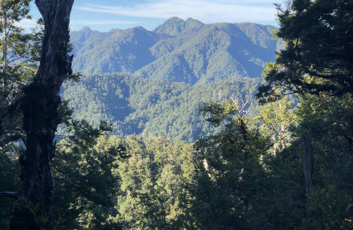Te Pua-a-Tāne Circuit