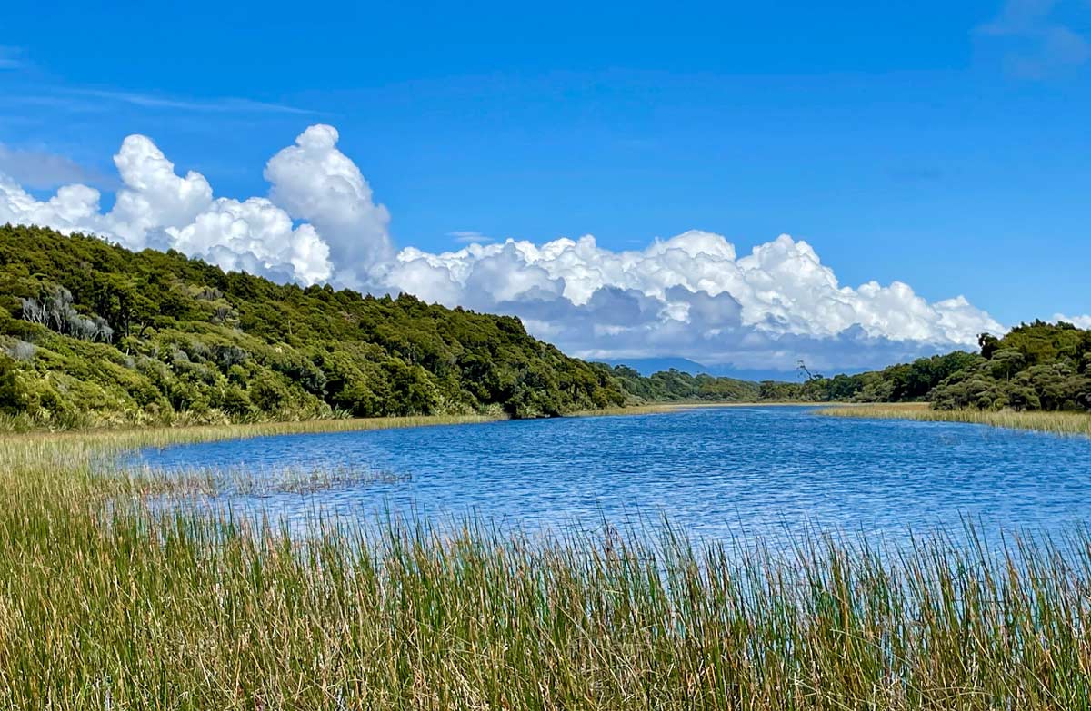 Ship Creek Tauparikaka walks: Haast, Paringa & Moeraki Rivers area ...