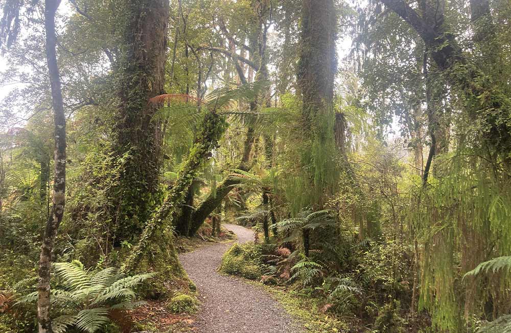 Ship Creek TTauparikākā walks: Haast, Paringa & Moeraki Rivers area ...