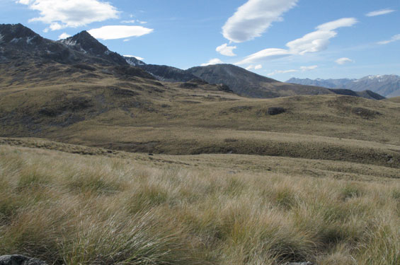 East Ahuriri Track: Walking and tramping in Ahuriri Conservation Park ...