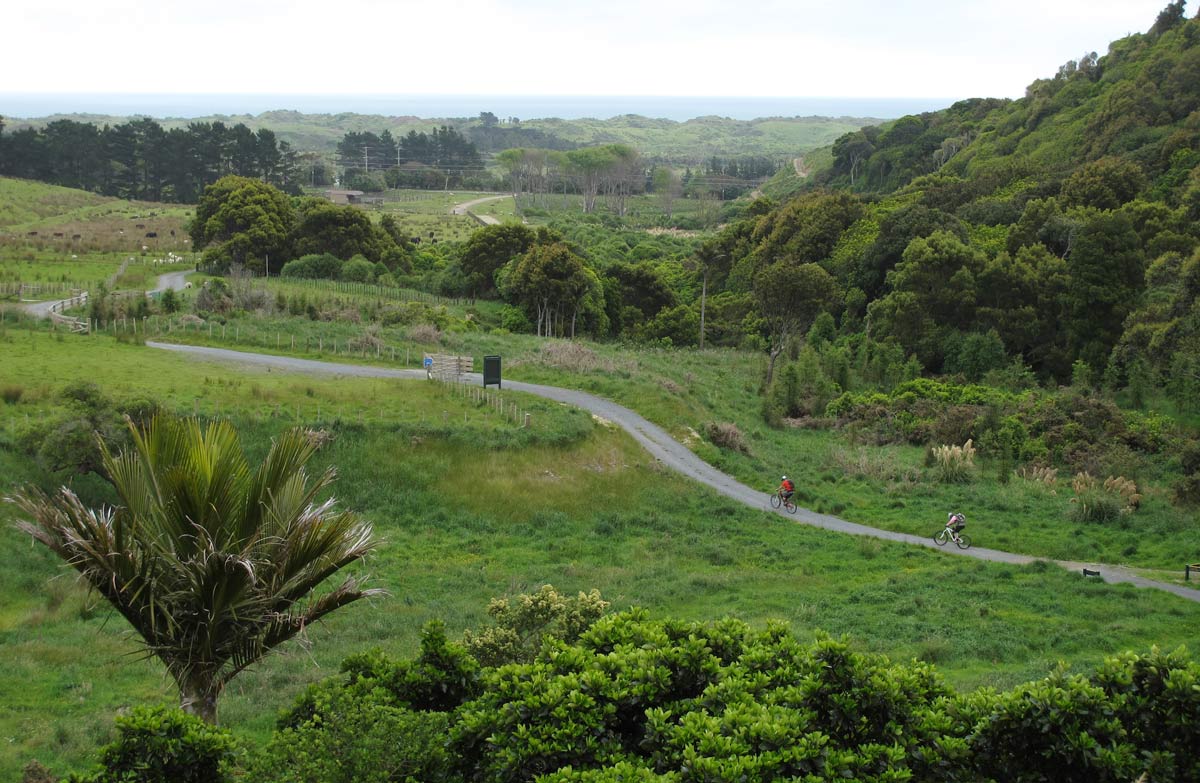 Whareroa Farm tracks