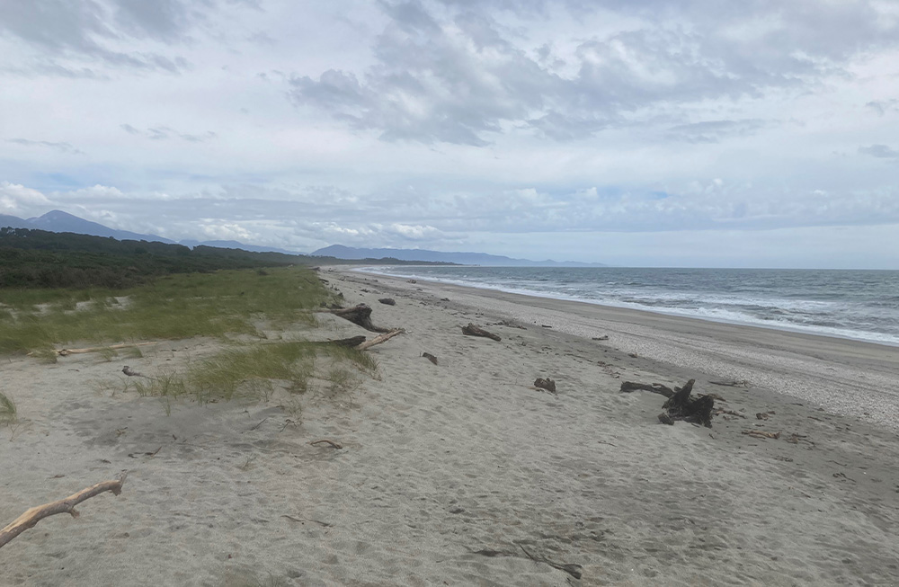 Kōkako Track: Haast, Paringa & Moeraki Rivers area, West Coast region