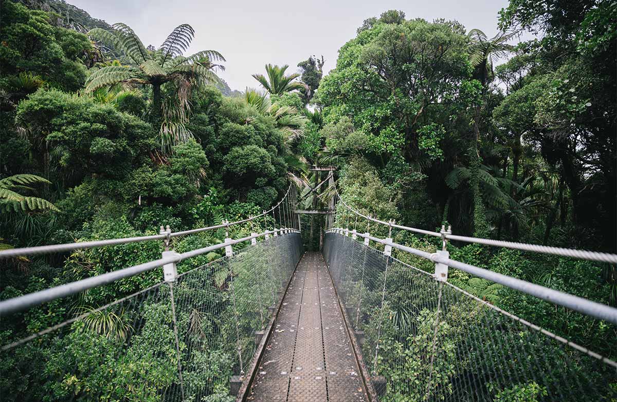Heaphy Track: Kahurangi National Park and Karamea area