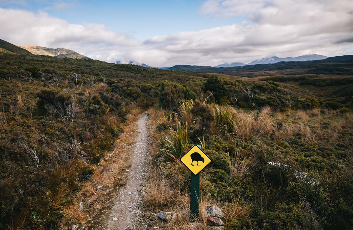 Heaphy Track: Kahurangi National Park and Karamea area