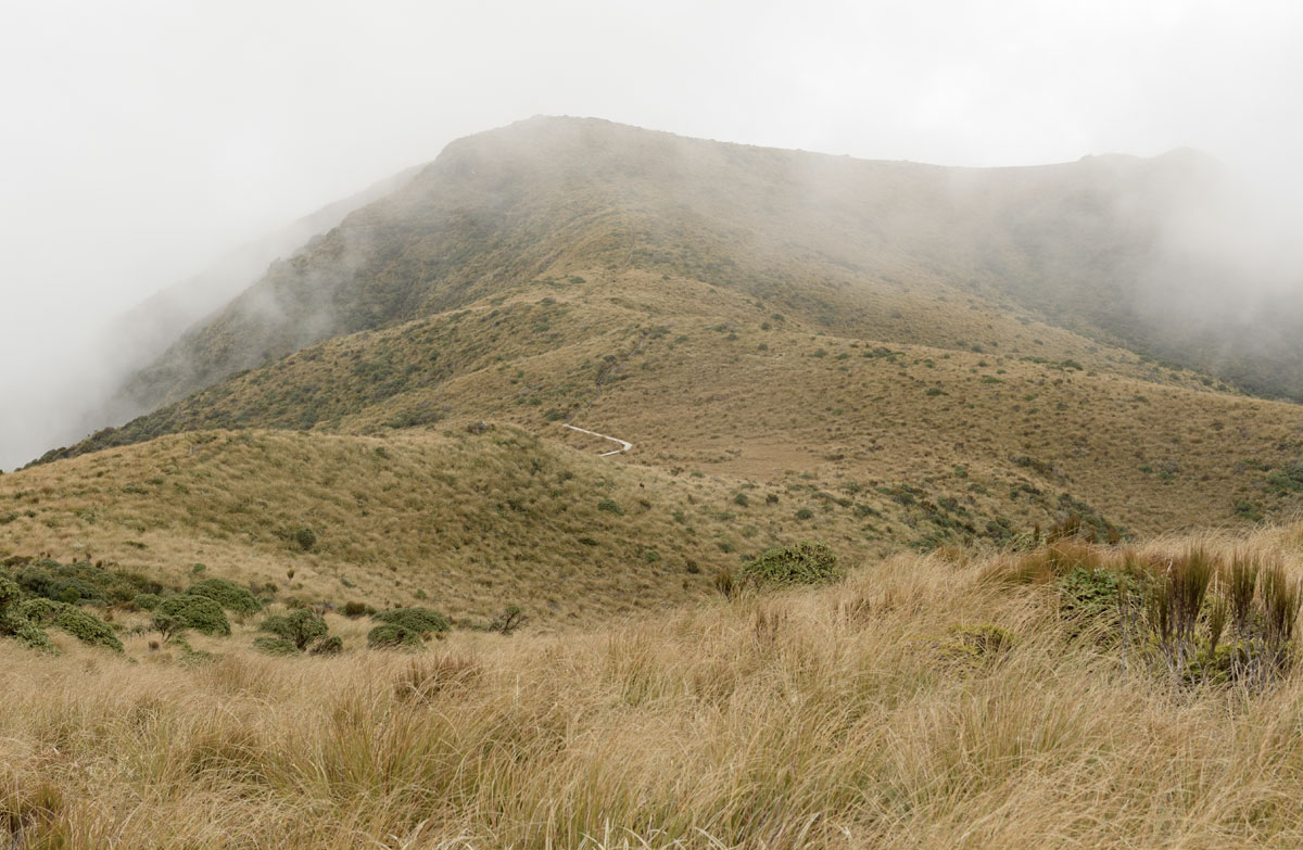 Tararua Peaks/Main Range Circuit: Tararua Forest Park, Kapiti region