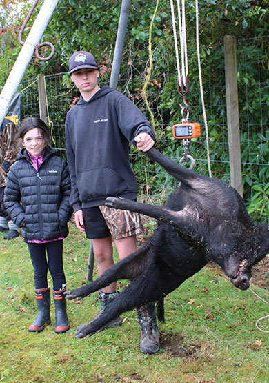 Pureora Hunting Competition: Waikato Region