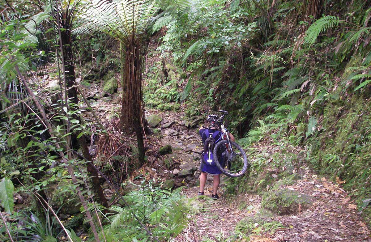 Nydia Track: Pelorus & Kenepuru Sounds area, Marlborough region