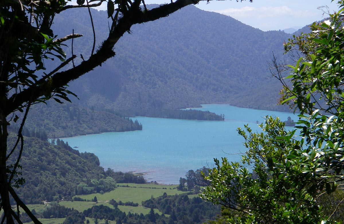 Nydia Track: Pelorus & Kenepuru Sounds area, Marlborough region