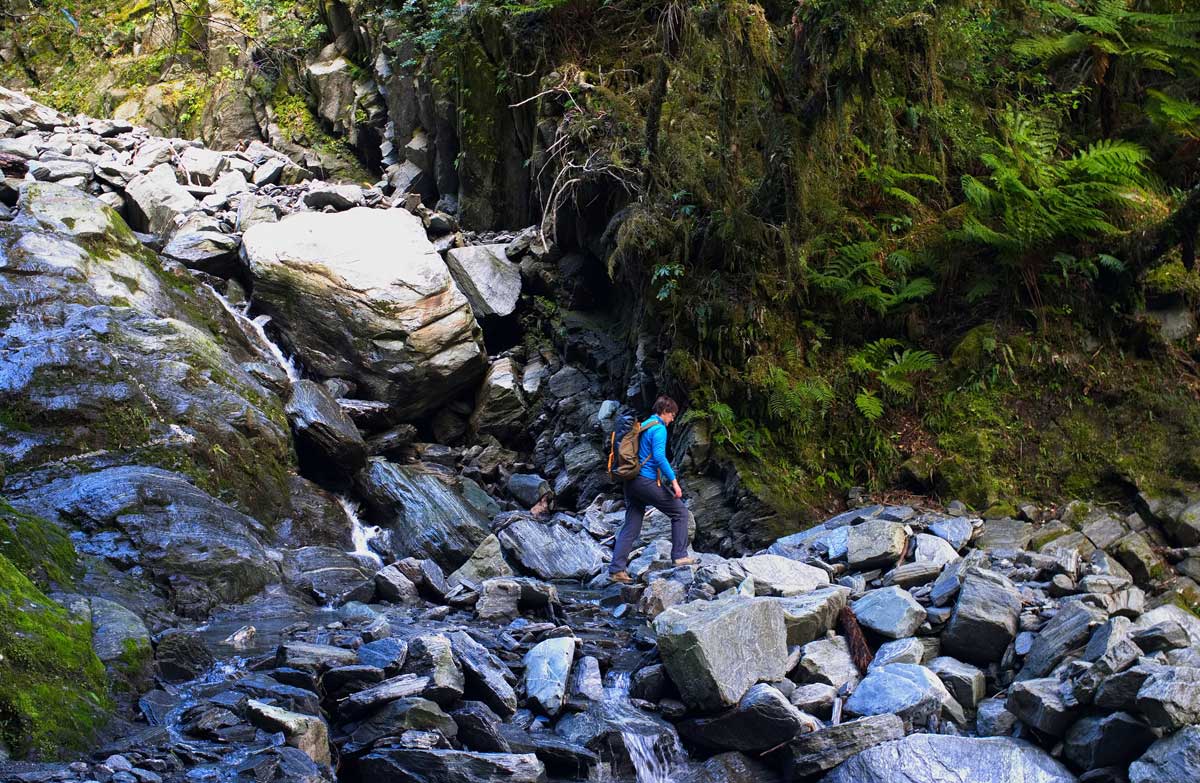 Roberts Point Track: Westland Tai Poutini National Park, West Coast region