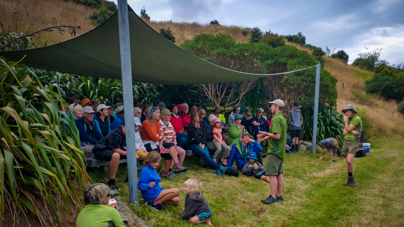Te Pākeka/Maud Island (Scientific Reserve): Places to go in Marlborough