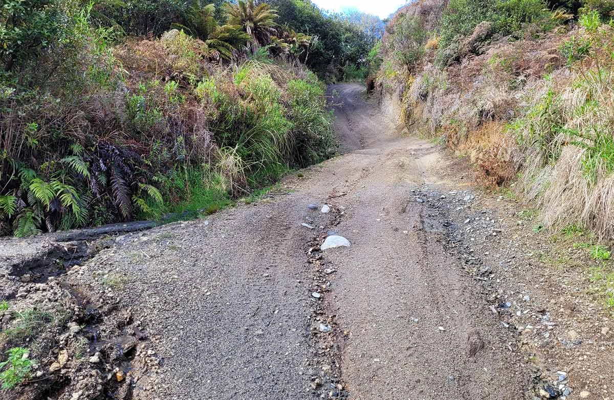 42 Traverse: Tongariro Forest Conservation Area