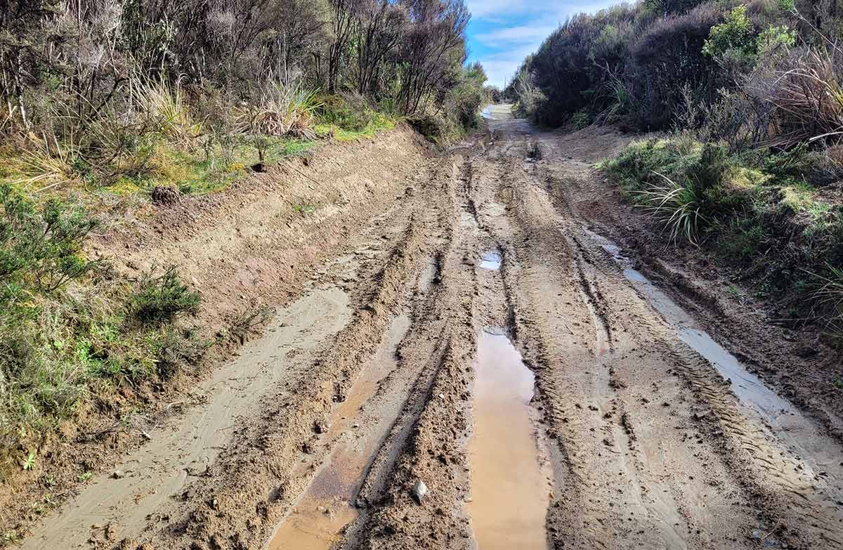 42 Traverse: Tongariro Forest Conservation Area