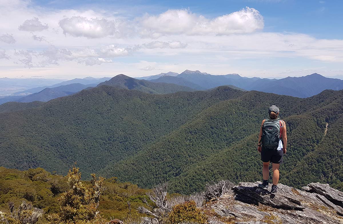 Mt Sunday/Mt Riley Track: Mount Richmond Forest Park