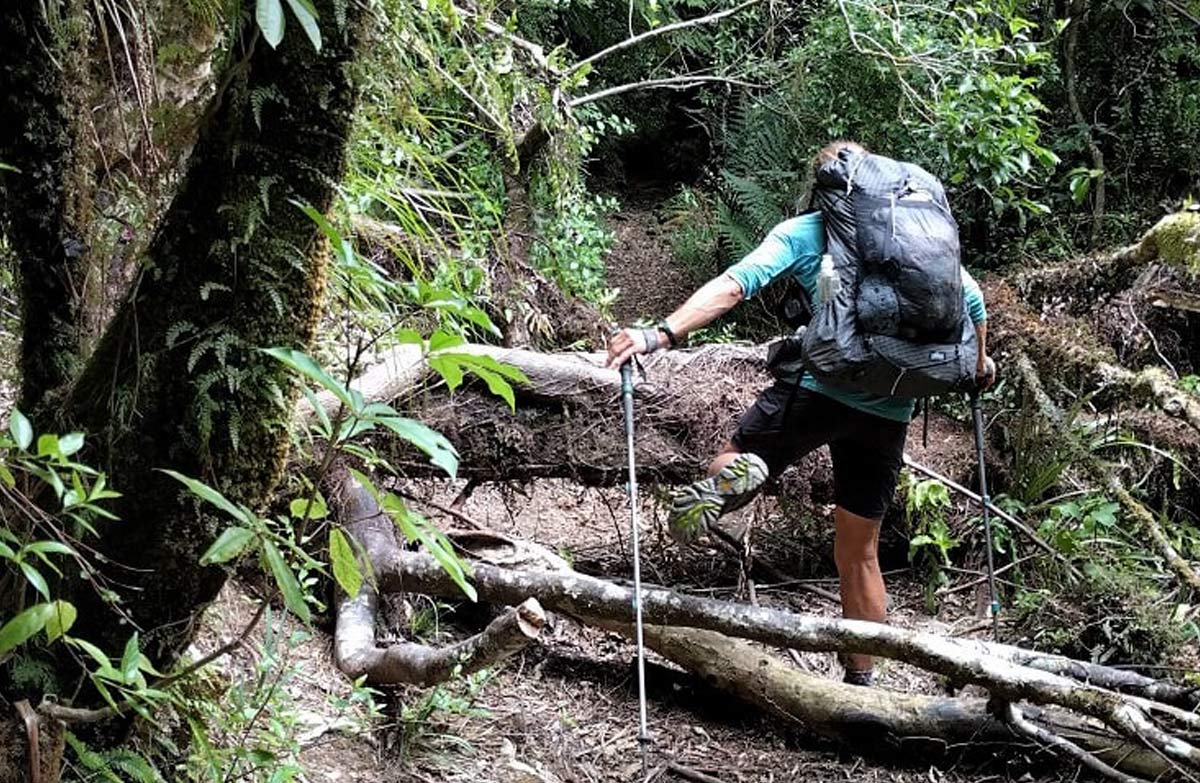 Poads Road to Ōtaki Forks Track: Tararua Forest Park, Kapiti region