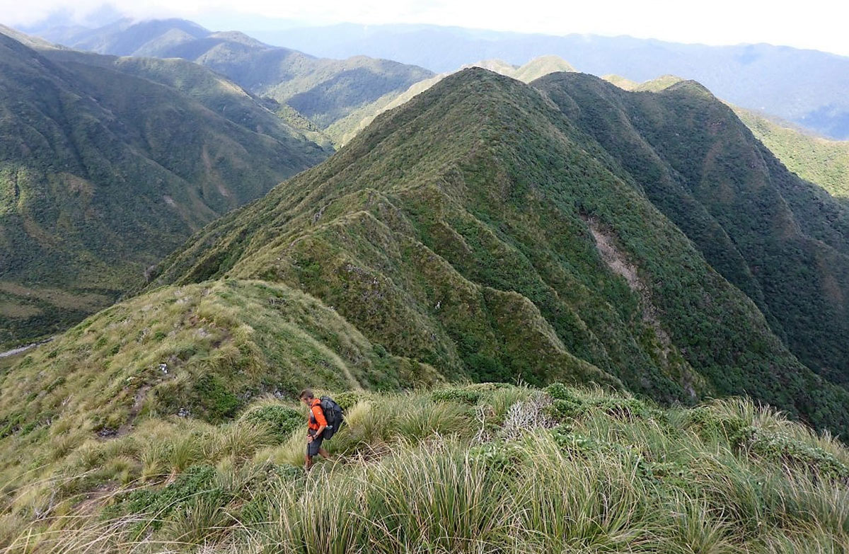 Poads Road to Ōtaki Forks Track: Tararua Forest Park, Kapiti region