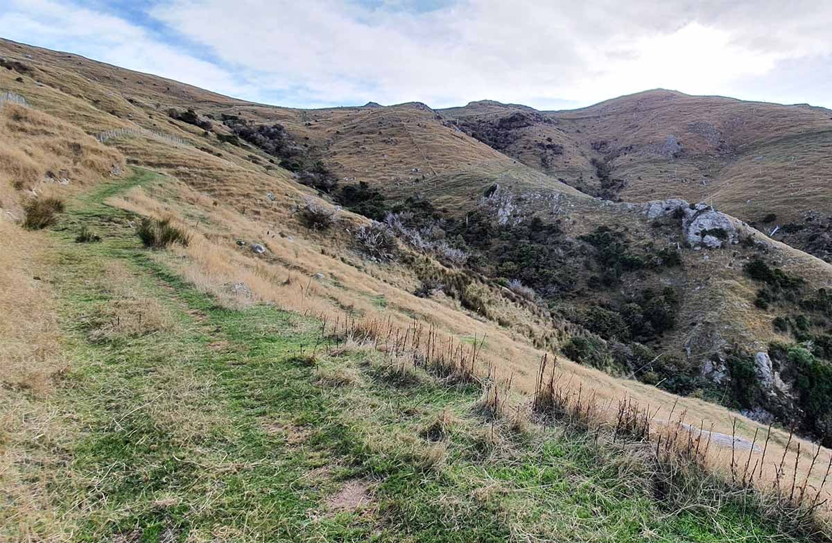Okuti Valley Scenic Reserve walk: Walking and tramping in Banks ...