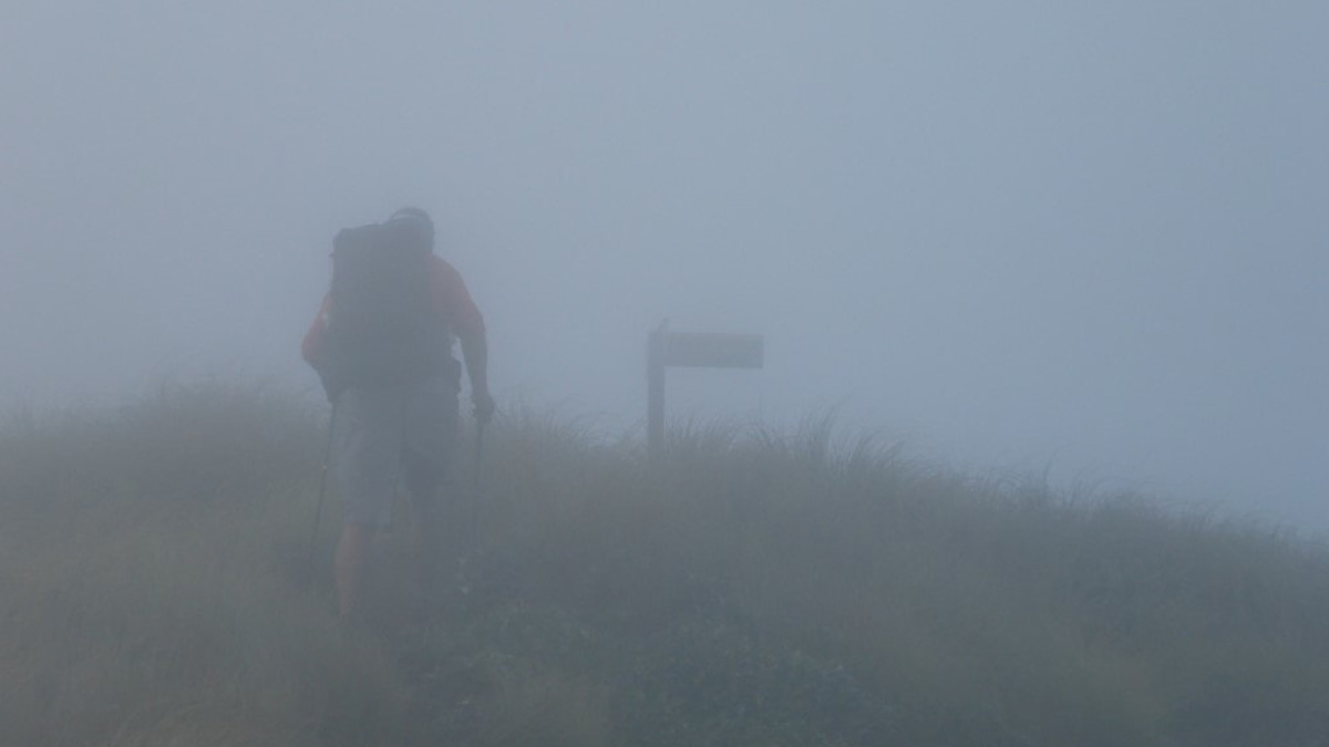 Tararua Middle Crossing: Tararua Forest Park, Kapiti region