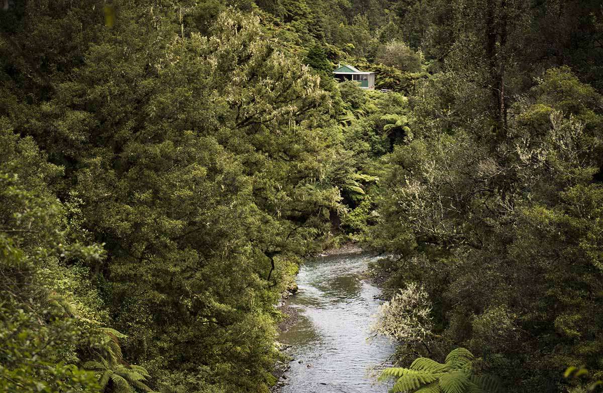 Pakihi Hut: Urutawa Conservation Area, East Coast region