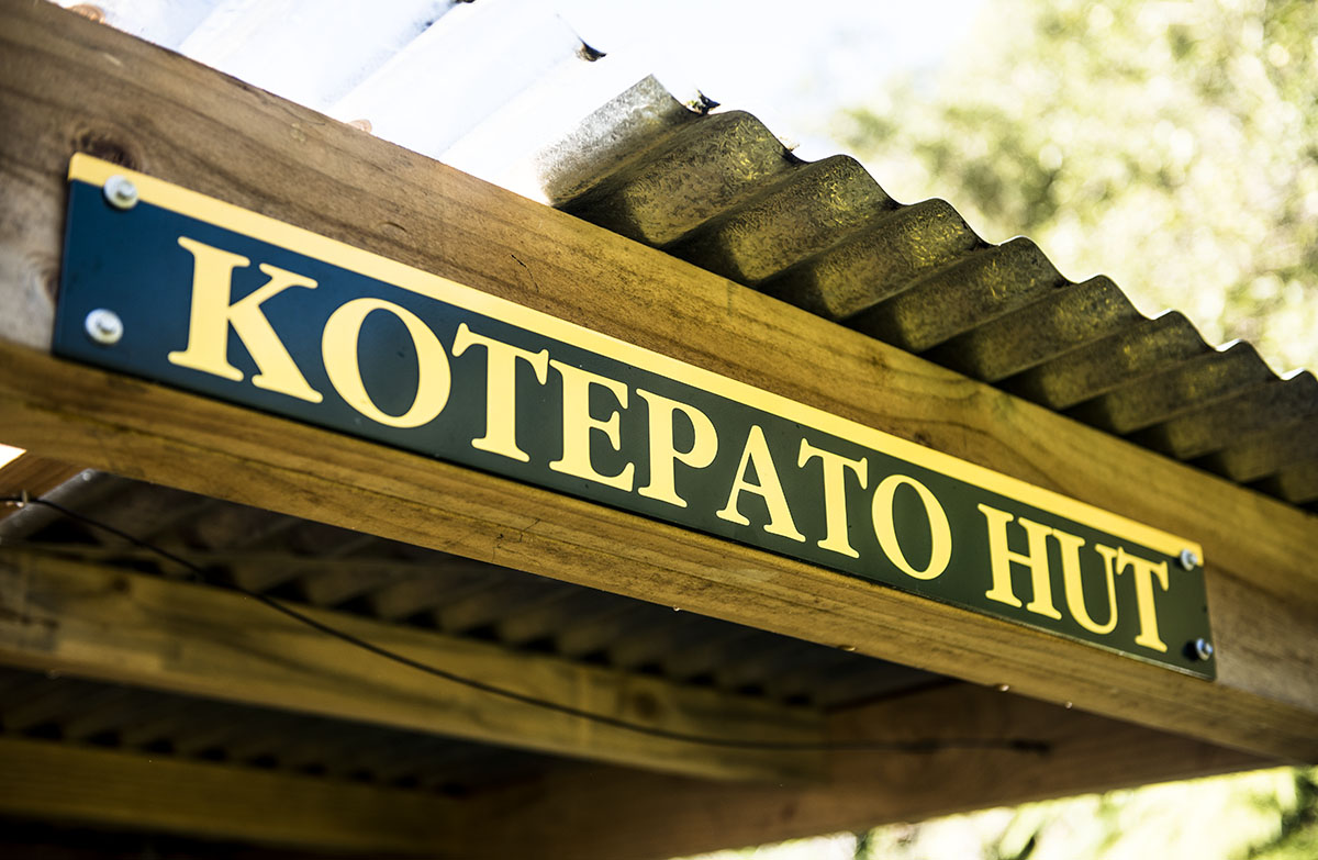 Kotepato Hut: Waioeka Conservation Area, East Coast region