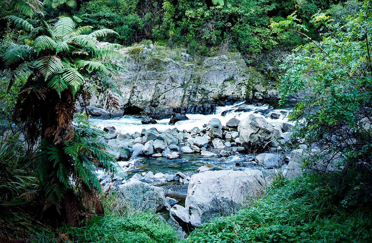 Nikau Flat Hut: Waioeka Conservation Area, East Coast region
