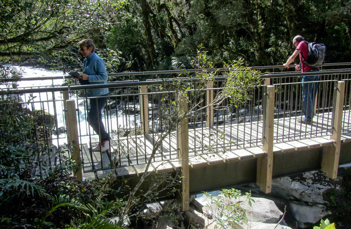 The Chasm Walk: Fiordland National Park, Fiordland region