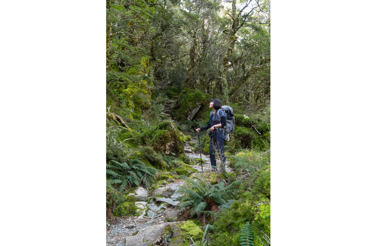 Routeburn Track: Fiordland National Park