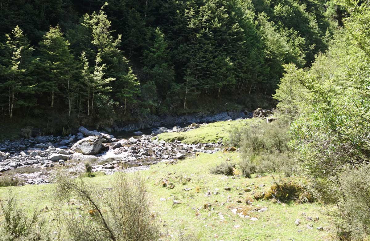Triangle Hut: Ruahine Forest Park, Manawatu region